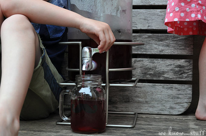 Wild Blueberry with Acai Iced Tea – Bigelow Tea