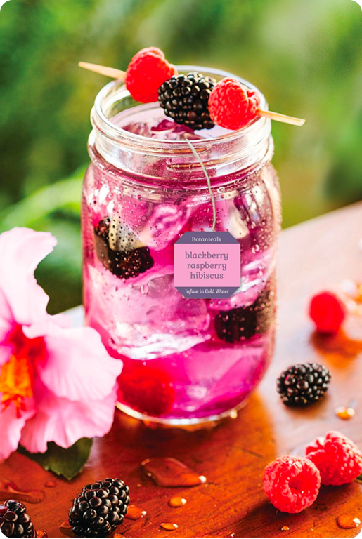 Bigelow Tea - Cold Infusions