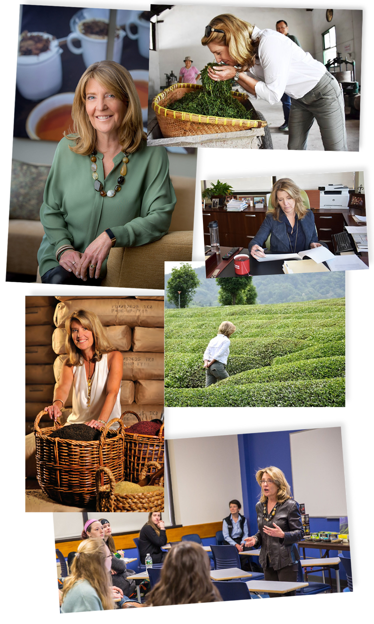 Meet the Family – Bigelow Tea