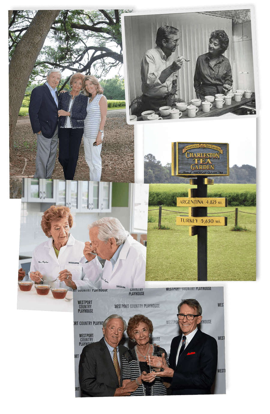 Meet the Family – Bigelow Tea