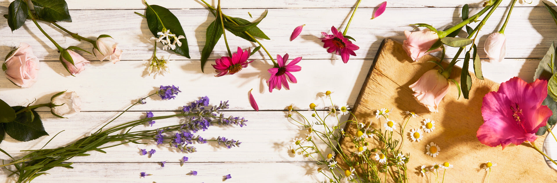 Constant Comment Teas – Bigelow Tea