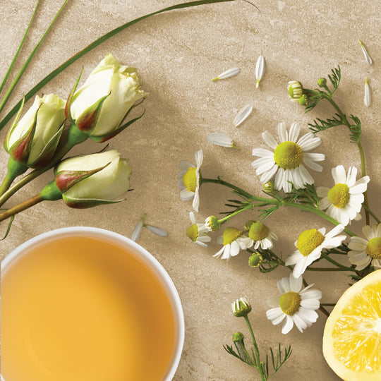 steep café – Bigelow Tea