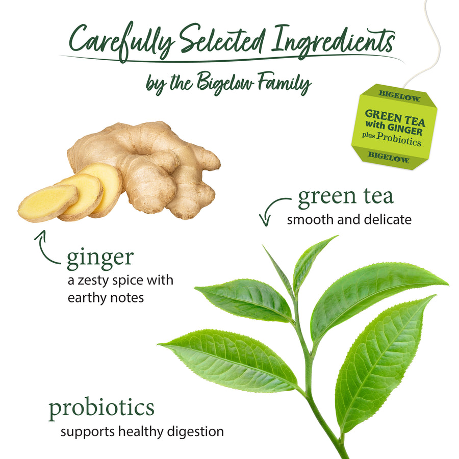 Green Tea with Ginger plus Probiotics -Case of 6 boxes - total of 108 ...