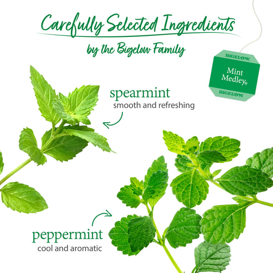 Mint Medley Herbal Tea - Case of 6 boxes- total of 120 tea bags ...