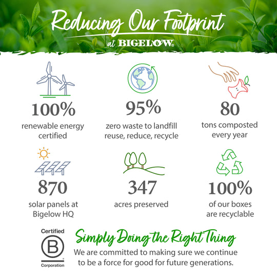 Constant Comment Tea - Case of 6 boxes - total of 120 teabags – Bigelow Tea